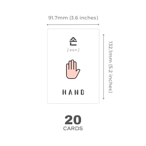 Korean Body Parts Flashcards Learn Korean Language Educational ...