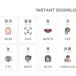 Korean Body Parts Flashcards Learn Korean Language Educational ...