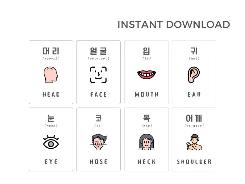 Korean Body Parts Flashcards Learn Korean Language Educational ...