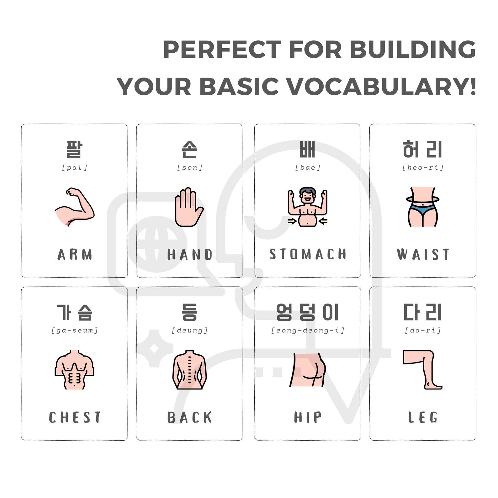 Korean Body Parts Flashcards | Learn Korean Language | Educational ...