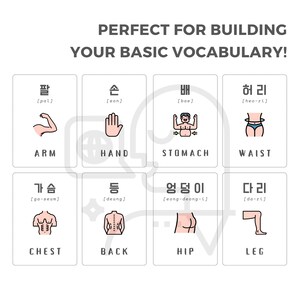 Korean Body Parts Flashcards | Learn Korean Language | Educational ...
