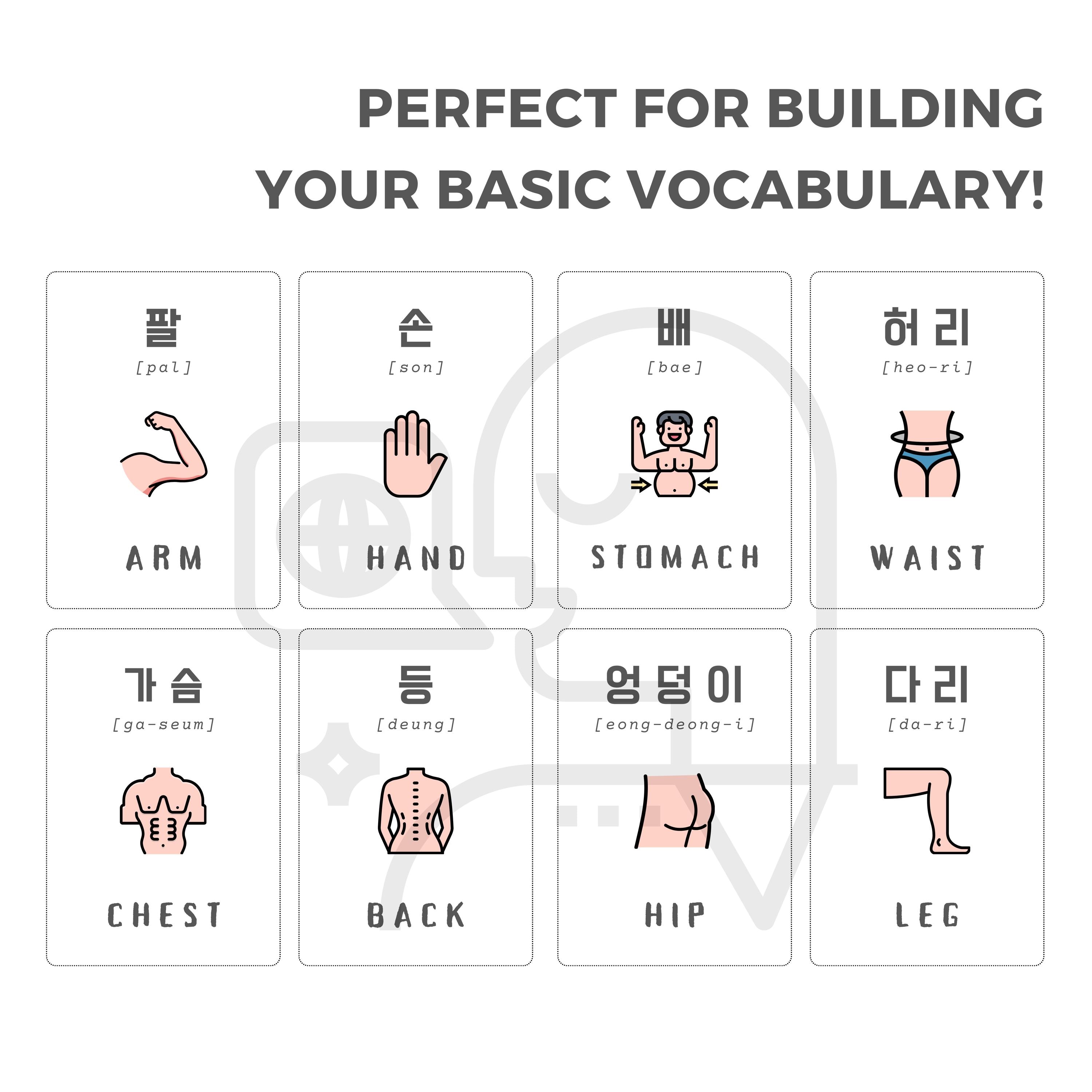 20 Korean Body Parts Flashcards | Learn Hangul Body Vocabulary ...