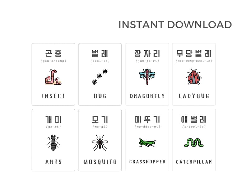 Insect Korean Flashcards | Learn Korean Language | Educational ...