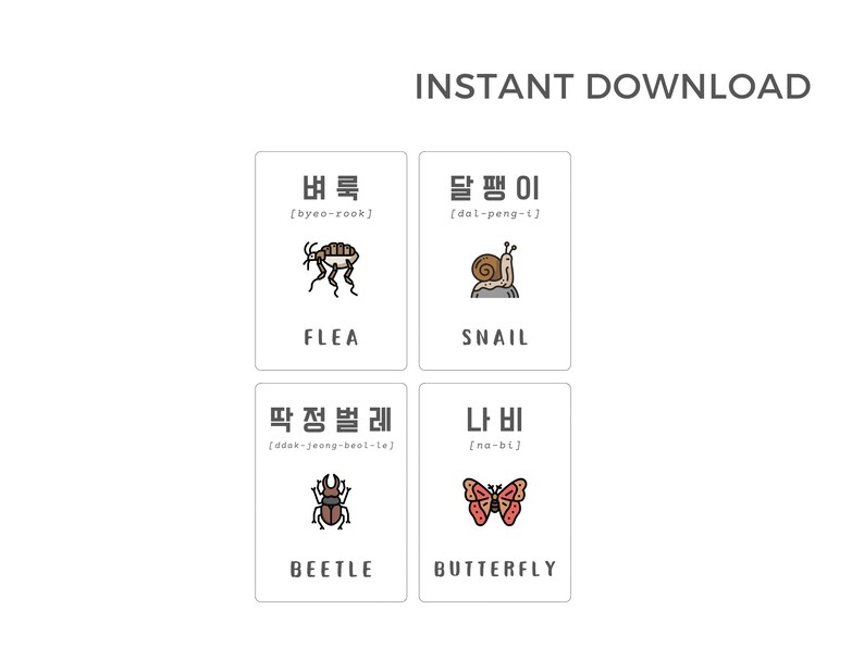Insect Korean Flashcards | Learn Korean Language | Educational ...