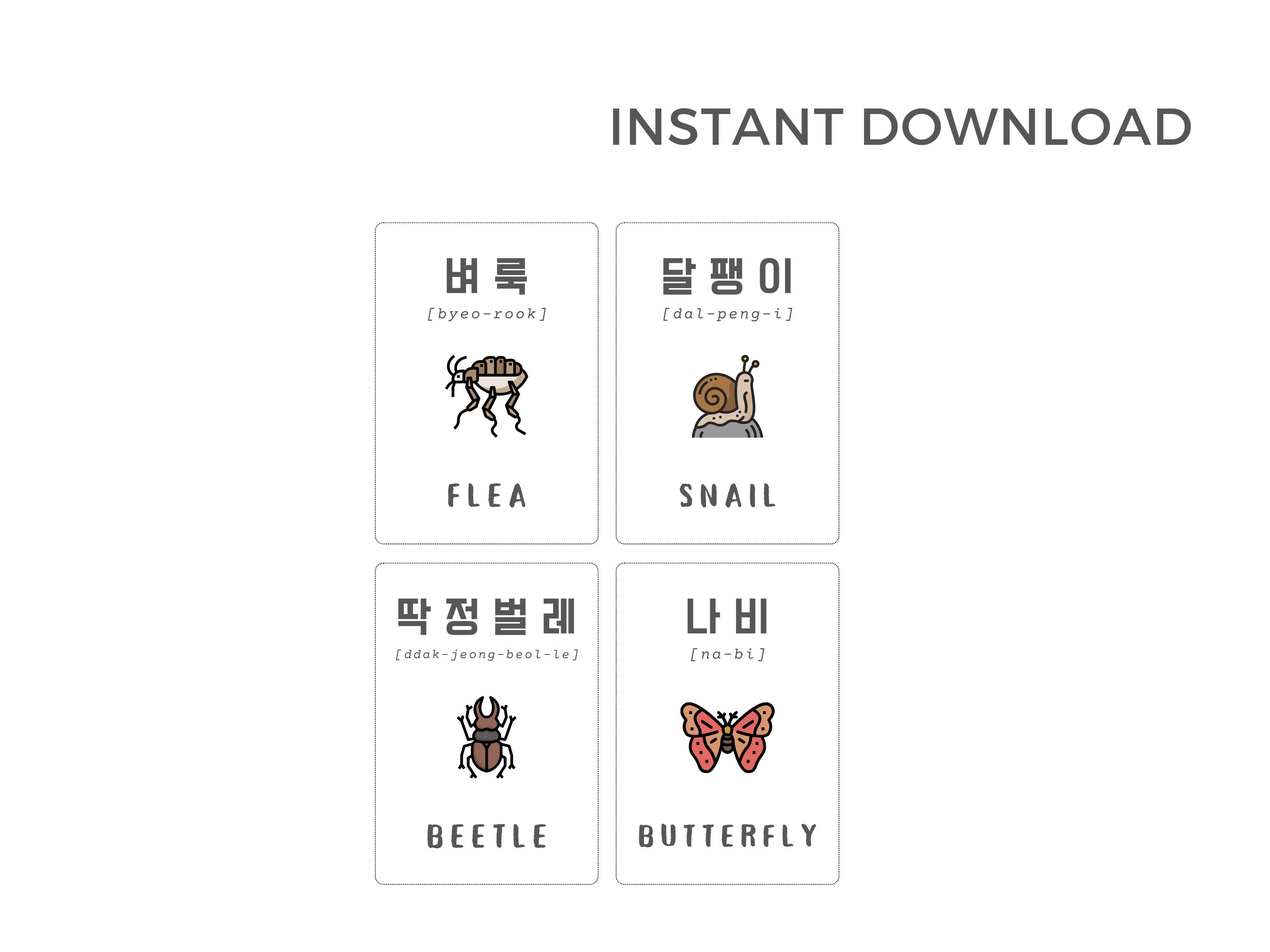 Insect Korean Flashcards Learn Korean Language Educational - Etsy