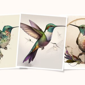 Elegant Hummingbird Digital Illustration Bundle, Botanical Hummingbird ...