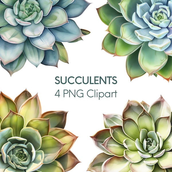 Cactus Clipart - Etsy