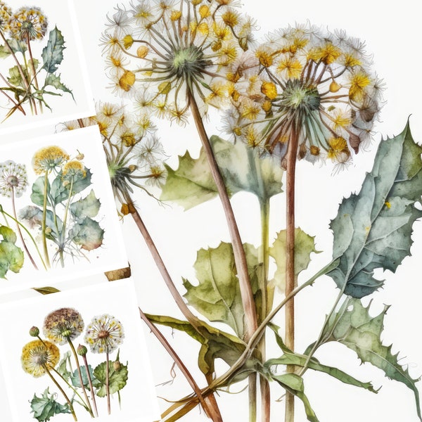 Dandelion Art - Etsy