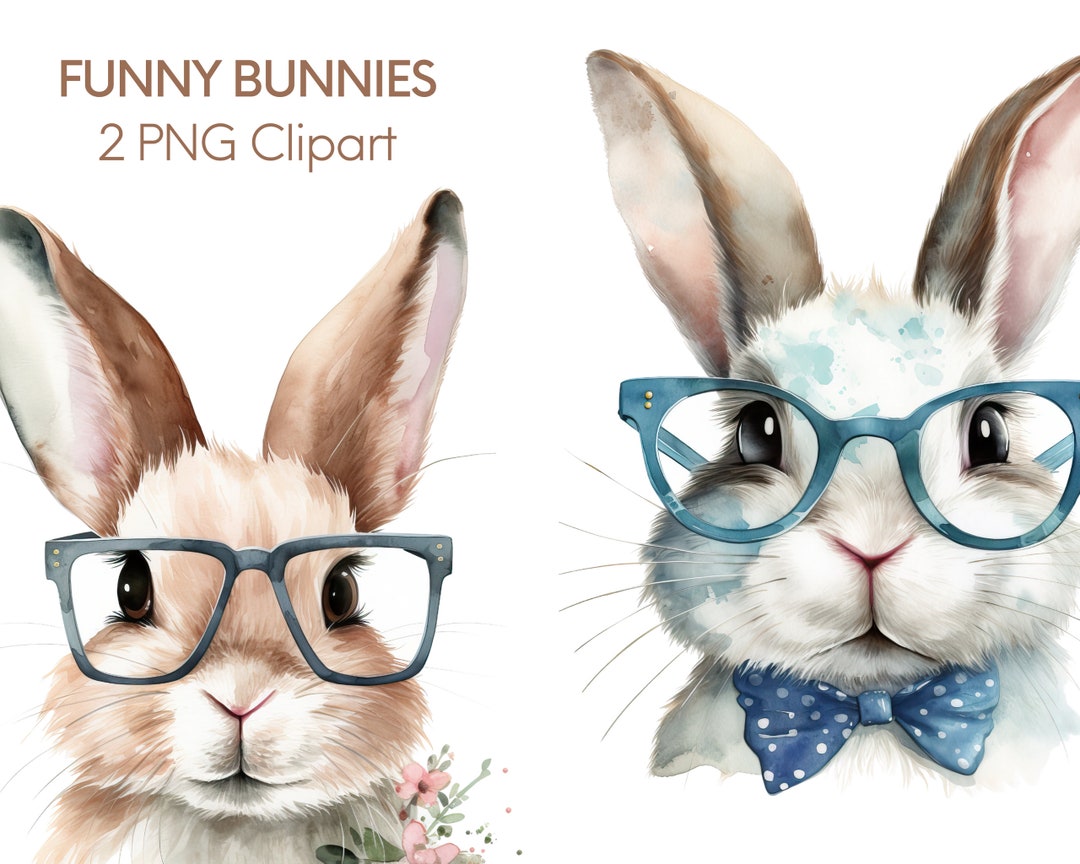 Funny Bunny Clipart PNG, Easter Bunny Clipart, Digital Download ...