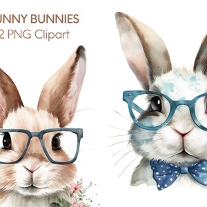 Funny Bunny Clipart PNG, Easter Bunny Clipart, Digital Download ...