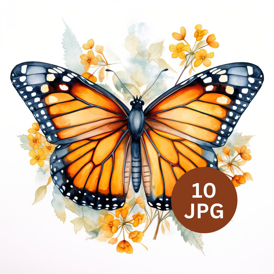 Monarch Butterflies Clipart Set of 10 Digital JPG Files, Printable Art ...