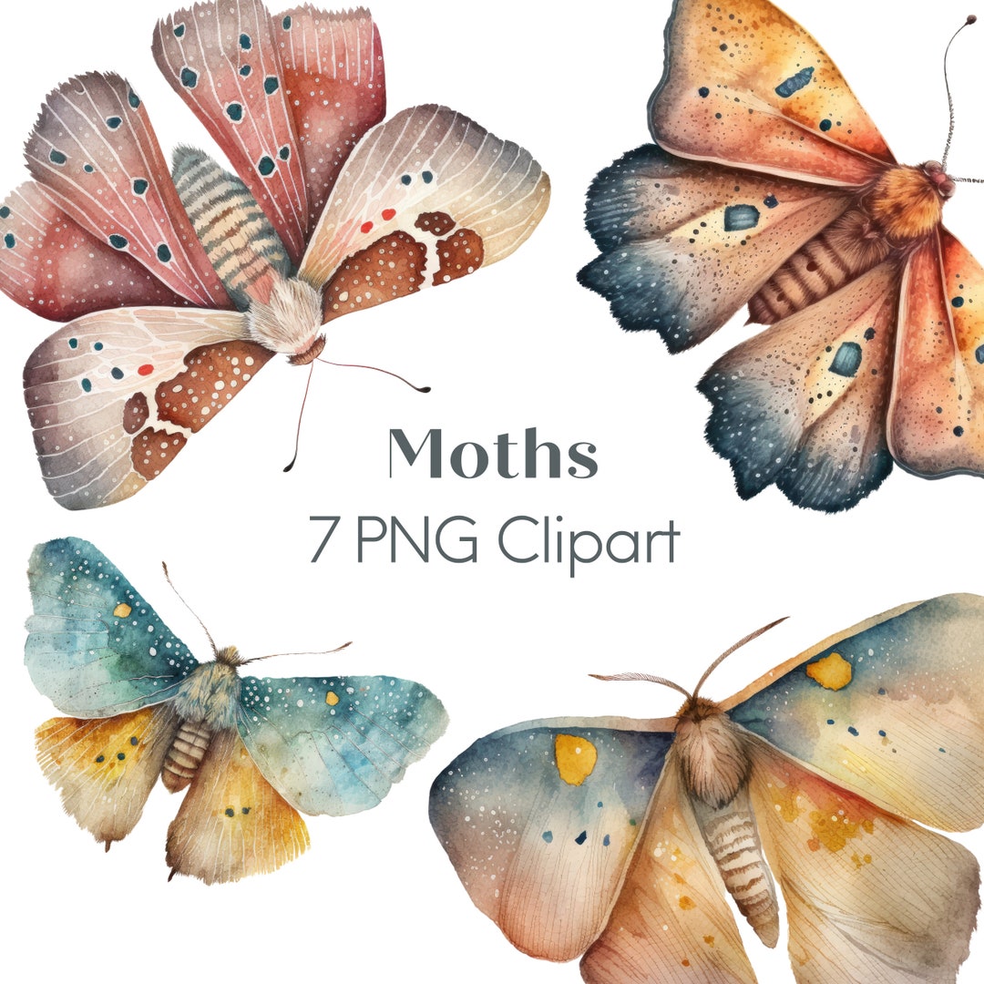 Moths Clipart PNG Digital Download, Commercial Use, Folk Art Moths, POD ...