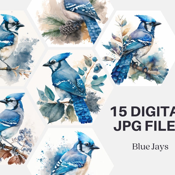 Blue Jay Birds - Etsy