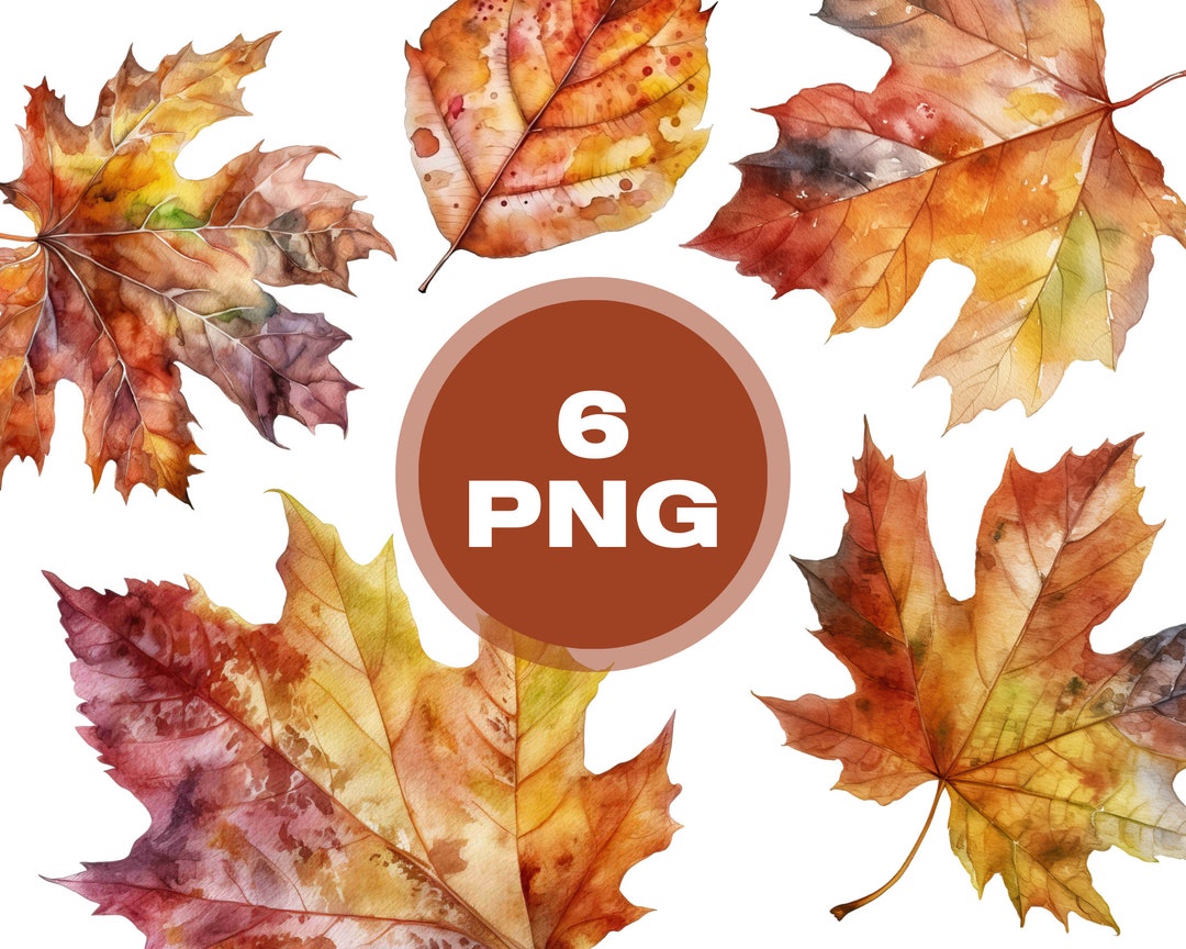 Fall Leaf Clipart PNG, Set of 6 Autumn Leaves Digital Download for ...
