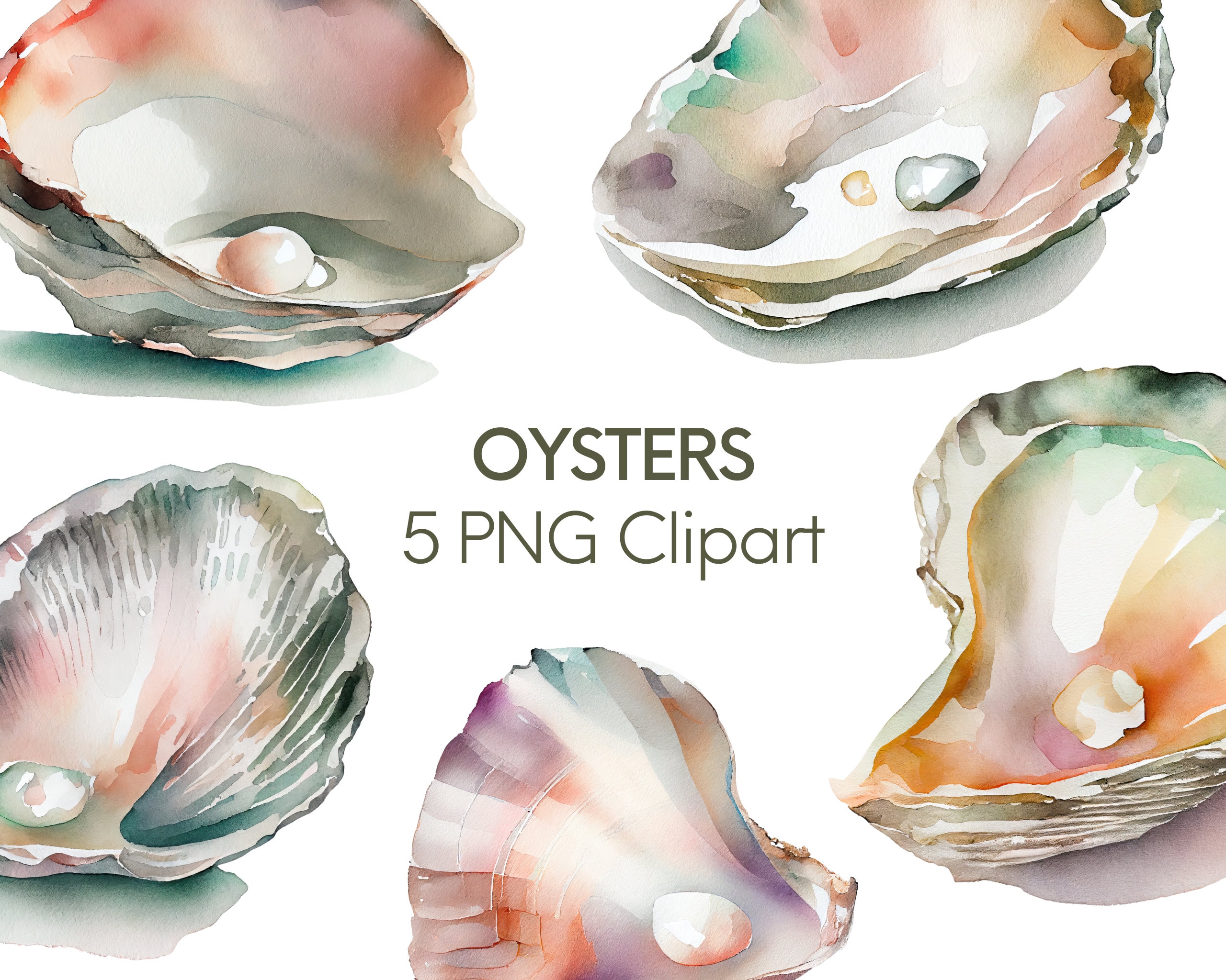 Oyster Clipart