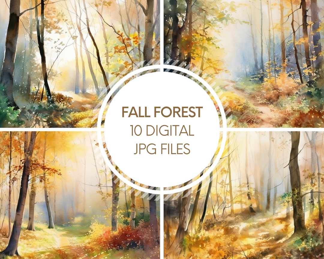 Fall Forest Digital Paper Bundle, 10 JPG Files, Commercial Use ...