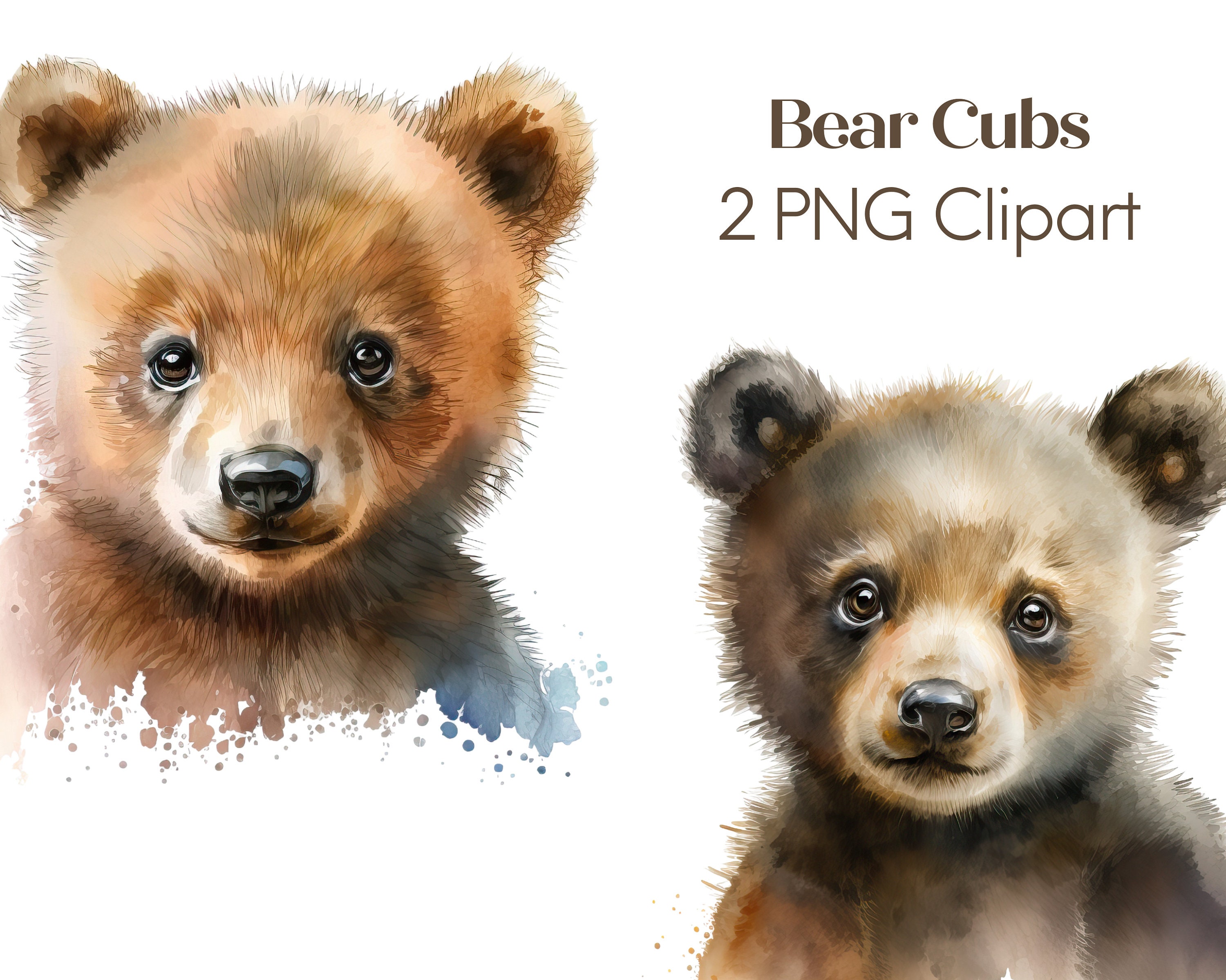 Bear Cub Clip Art