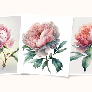 Watercolor Pink Peony Clip Art Collage Sheet Digital Paper - Etsy