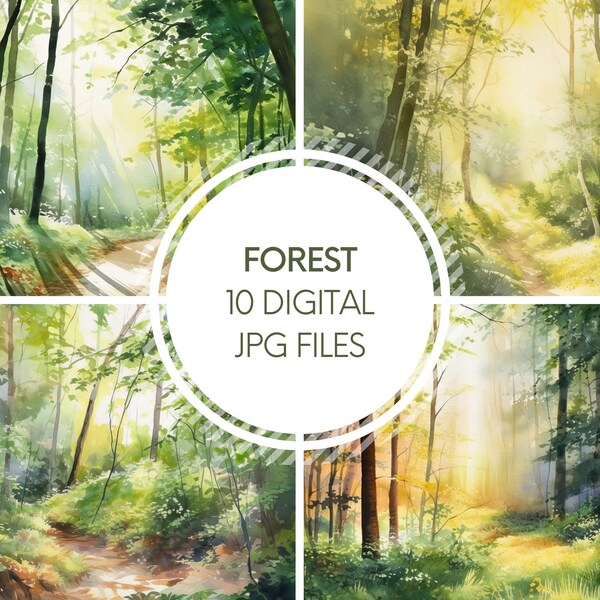 Forest Landscape - Etsy