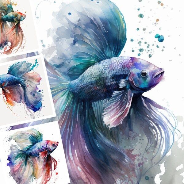 Betta Fish - Etsy