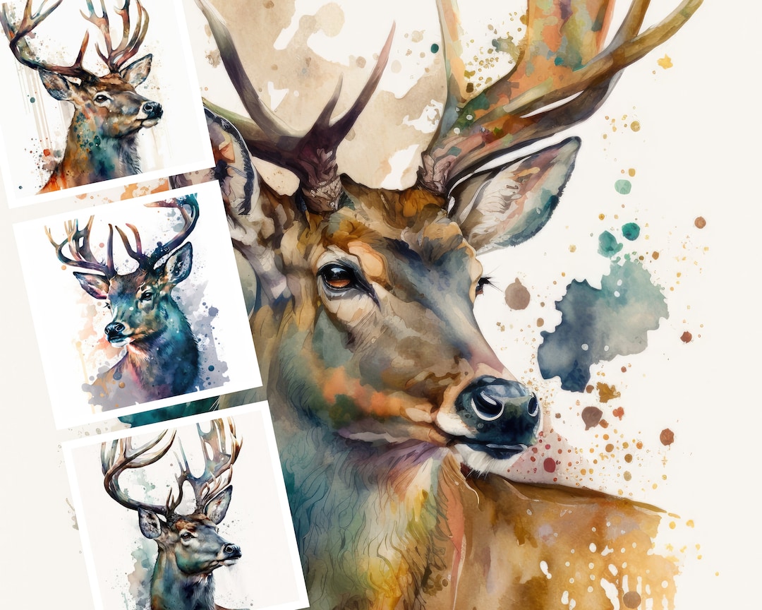 Watercolor Buck Deer Illustration Bundle, Digital JPG Files, Digital ...