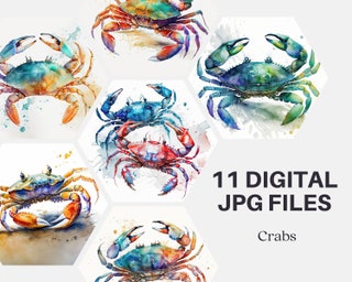 WildArtBlooms - Etsy