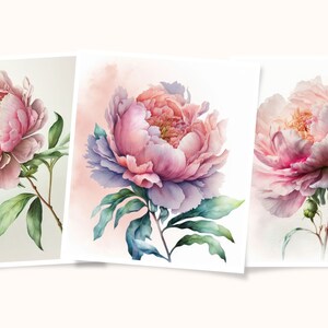 Watercolor Pink Peony Clip Art Collage Sheet Digital Paper - Etsy