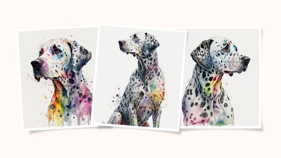 Are Rainbow Dalmatians A Real Thing