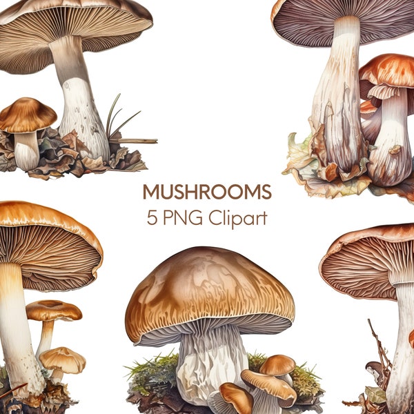 Watercolor Mushroom - Etsy