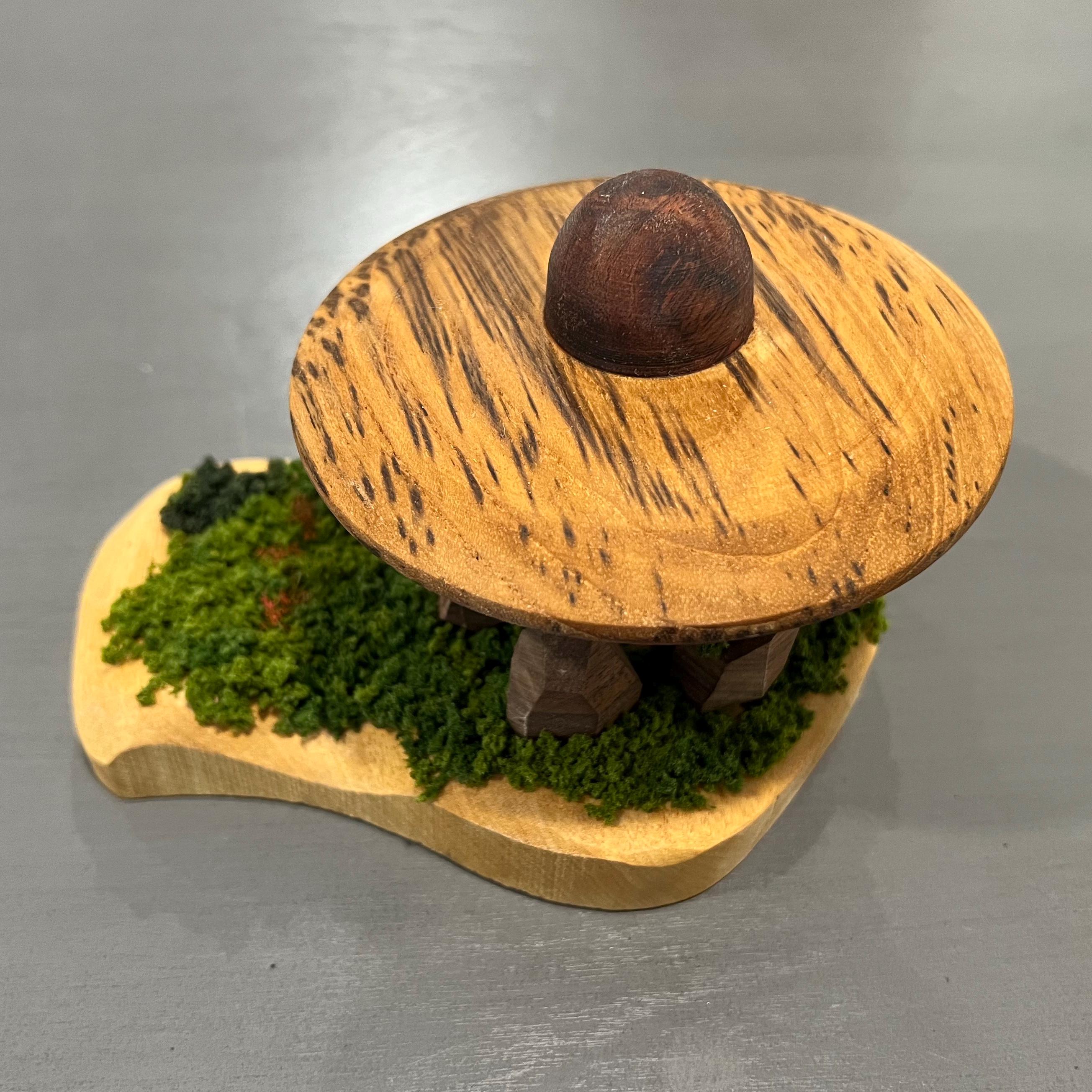 UFO Investigating the Ruins (teak Wing, Koa Cockpit) - Etsy