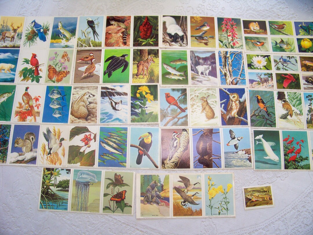 National Wildlife Federation Collector Stamps 1954 - 1967 Lot of 60 ...