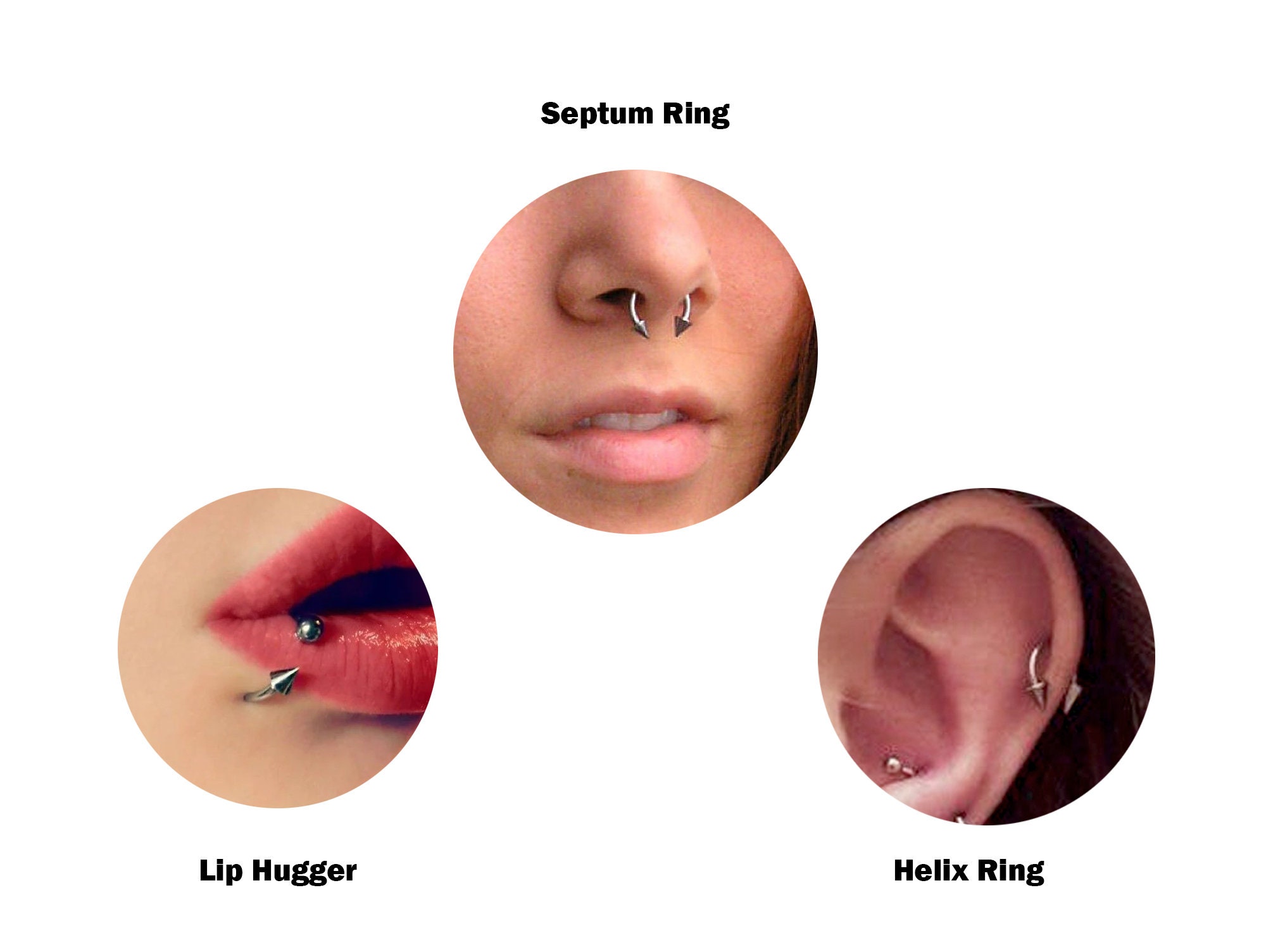 Septum Spike Piercing, Titanium Cone/spike Horseshoe Ring 18G 16G 14G ...
