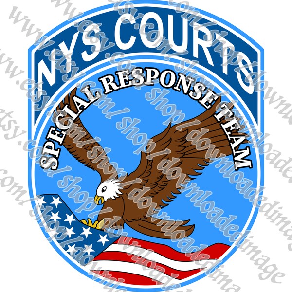 New York State Court Patch - Etsy