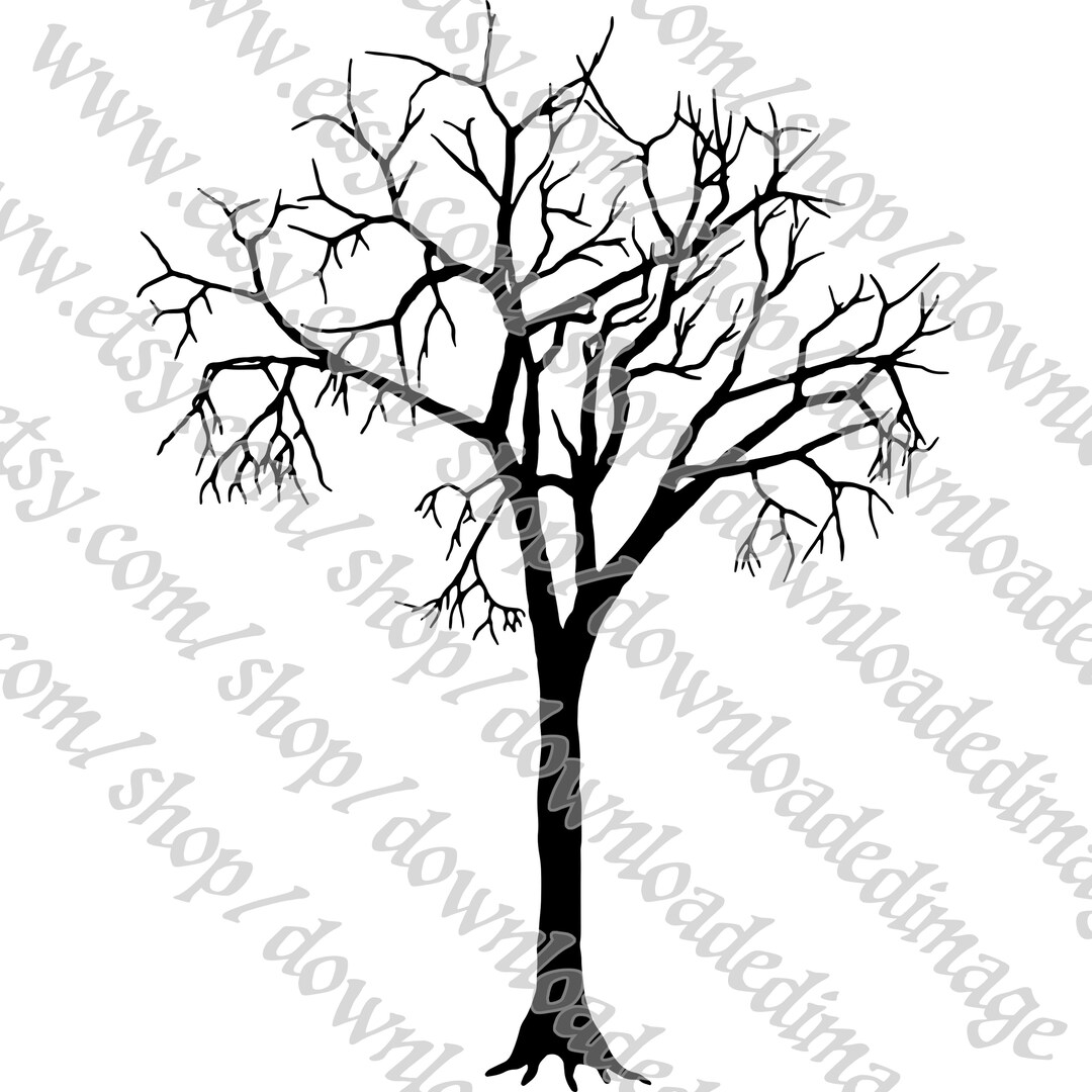 Dead Tree SVG, Dead Tree PNG, Tree Branches Clipart, Tree for Cricut - Etsy