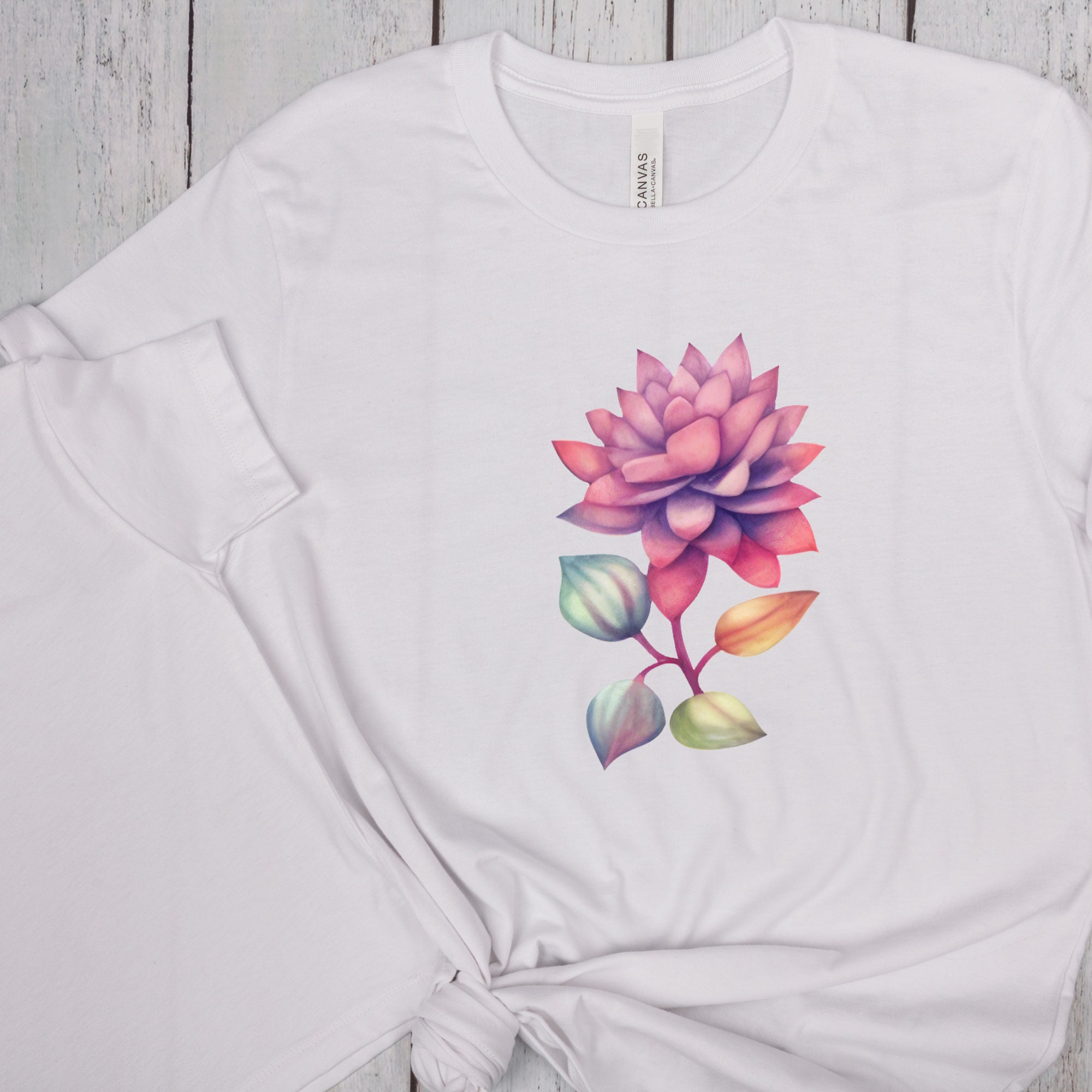 Succulent SVG PNG Clipart Bundle Watercolor Plant Files for Cricut Mega ...