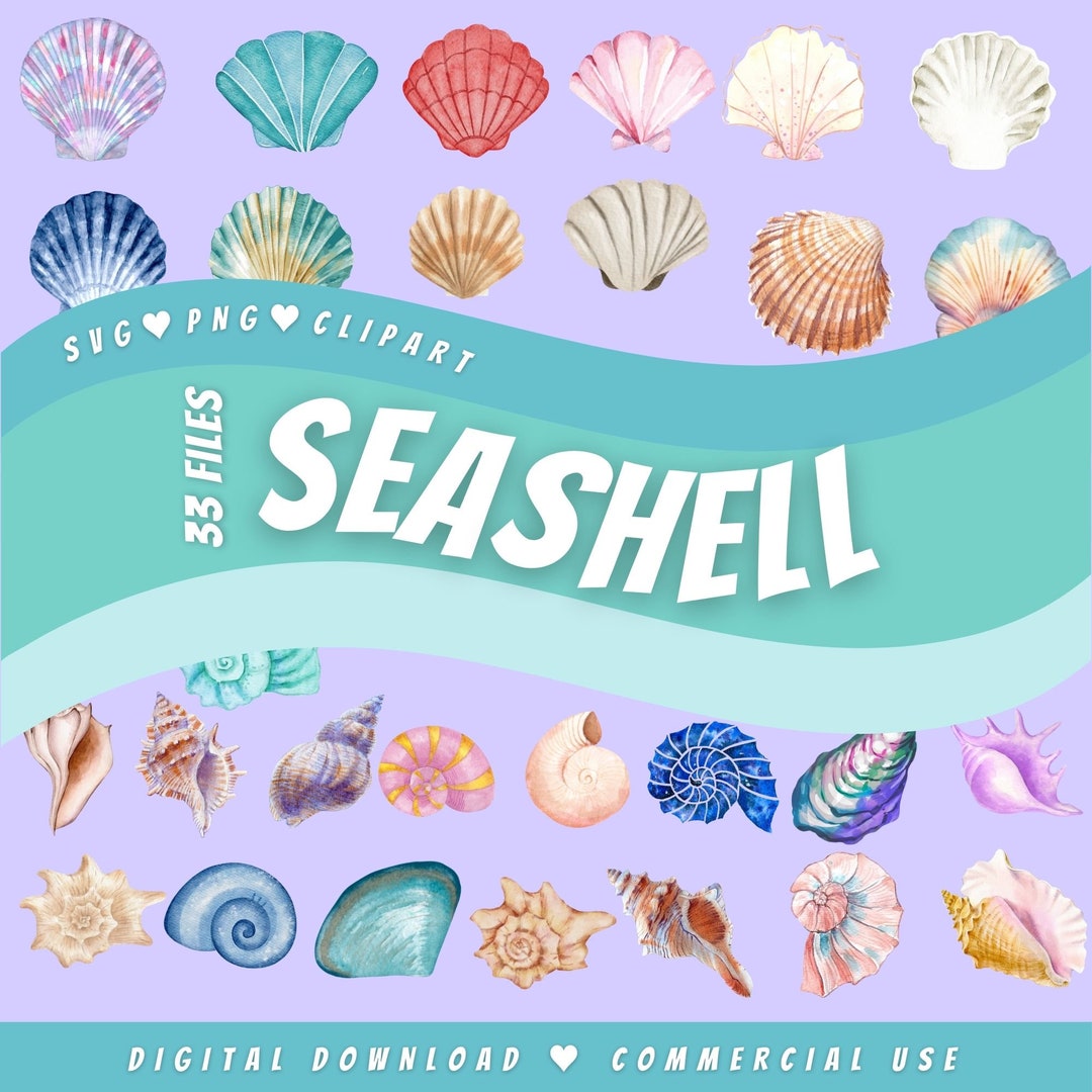 Seashell Watercolor SVG PNG Clipart Bundle for Cricut Nautical ...