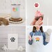 Paw Print Watercolor SVG PNG Clipart Bundle Files for Cricut Dog Mega ...