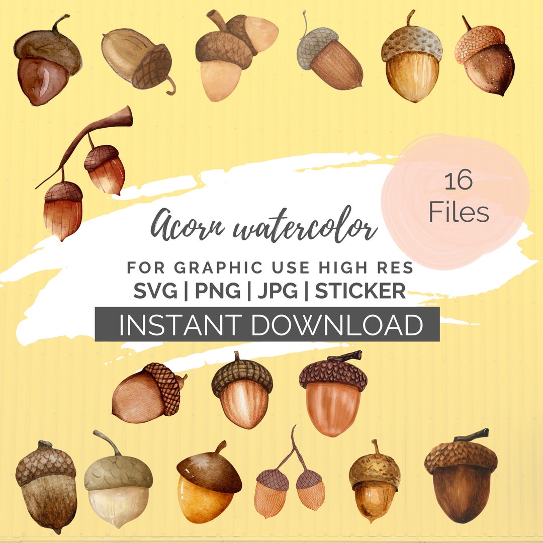 Acorn Watercolor SVG PNG Clipart Bundle Files for Cricut Fall Mega Pack ...