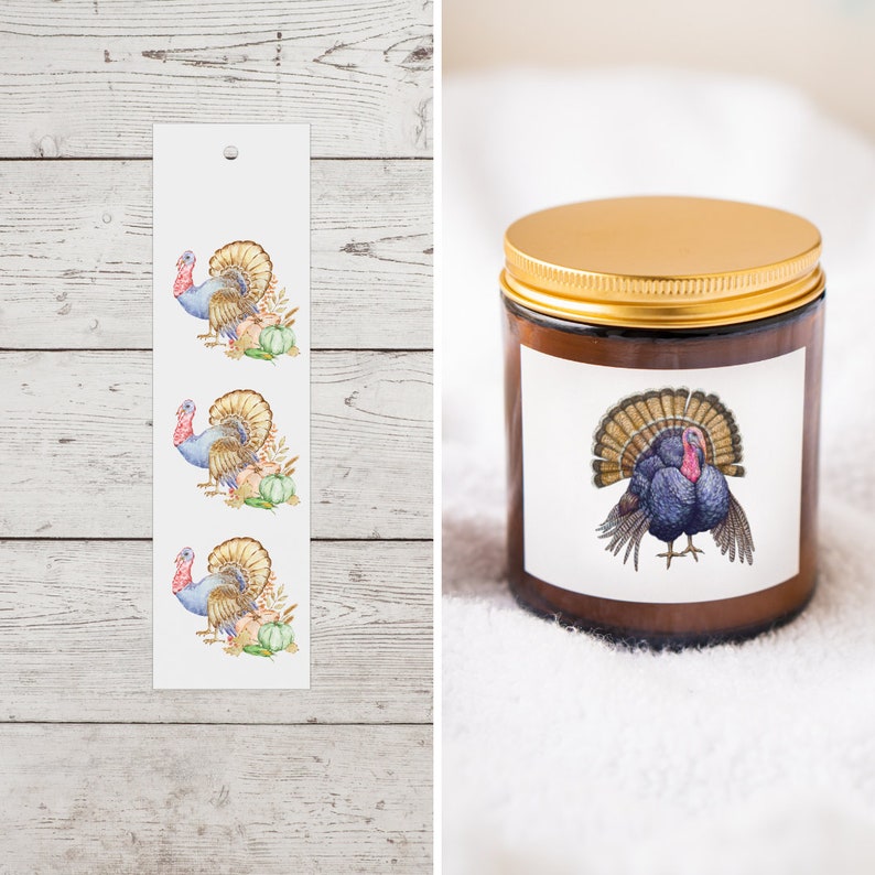 Turkey Watercolor SVG PNG Clipart Bundle Watercolor Files for Cricut ...