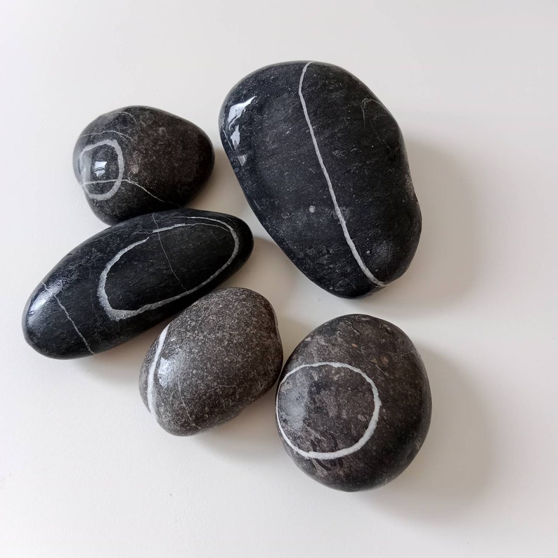 5 Medium Rocks for Aquascaping Hardscaping Fish Tanks, Stones for Vases ...