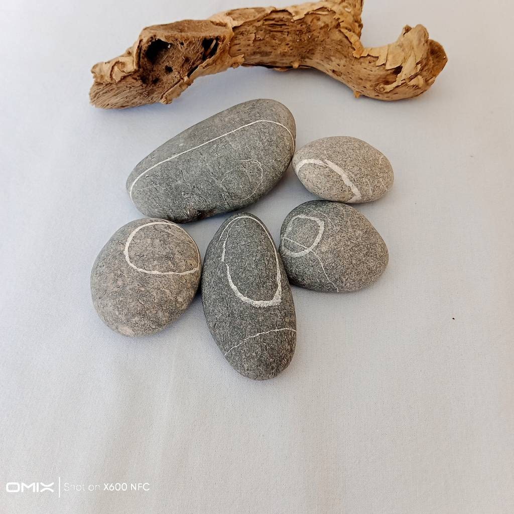 5 Medium Rocks for Aquascaping Hardscaping Fish Tanks, Stones for Vases ...