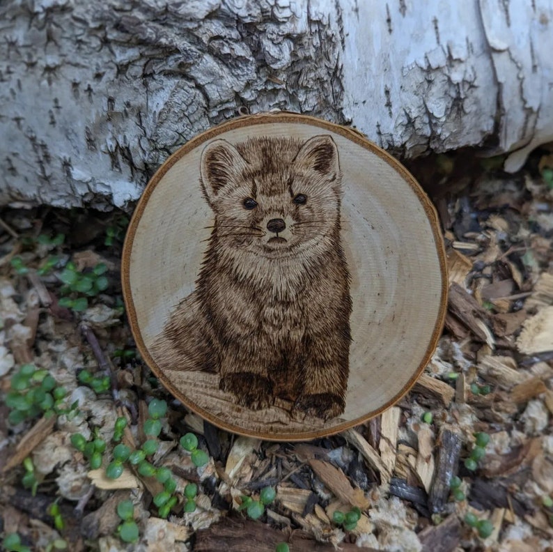 Wildlife Woodburning Art - Etsy