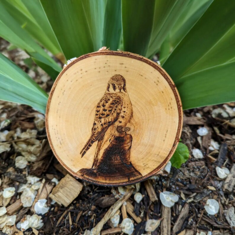 Wildlife Woodburning Art - Etsy