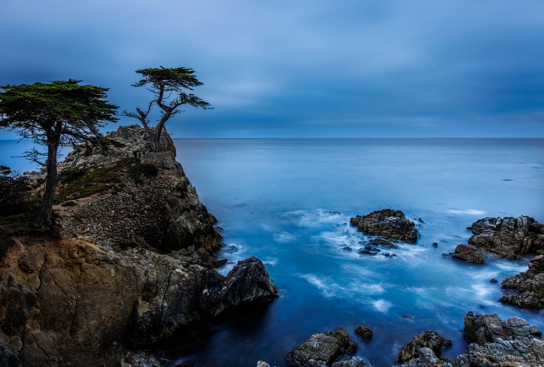 17 Mile Drive Monterey Lone Cypress Tree Blue Hour Canvas, Acrylic ...