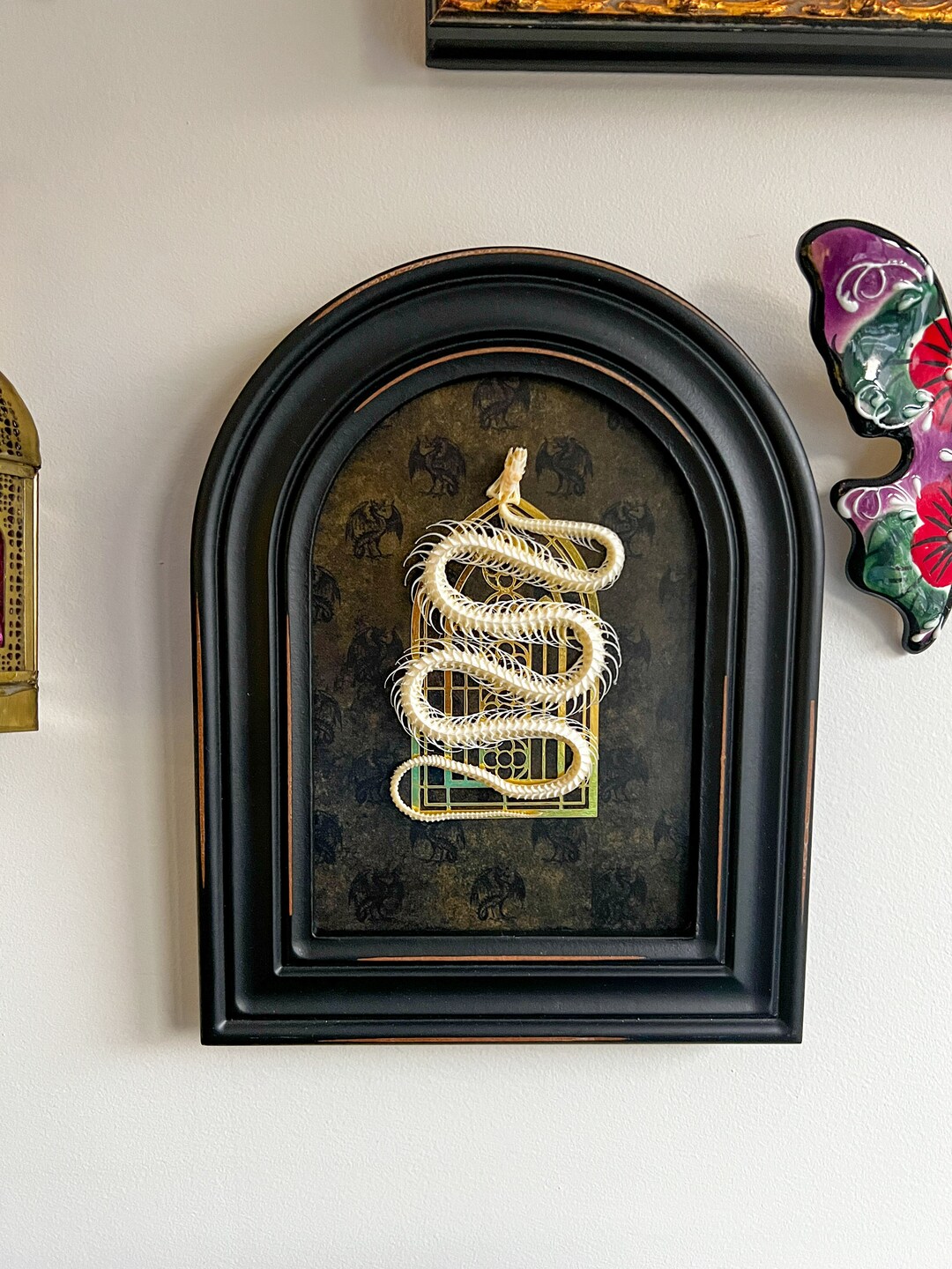 Real Snake Skeleton Mounted in a Black Arched Frame Gothic - Etsy