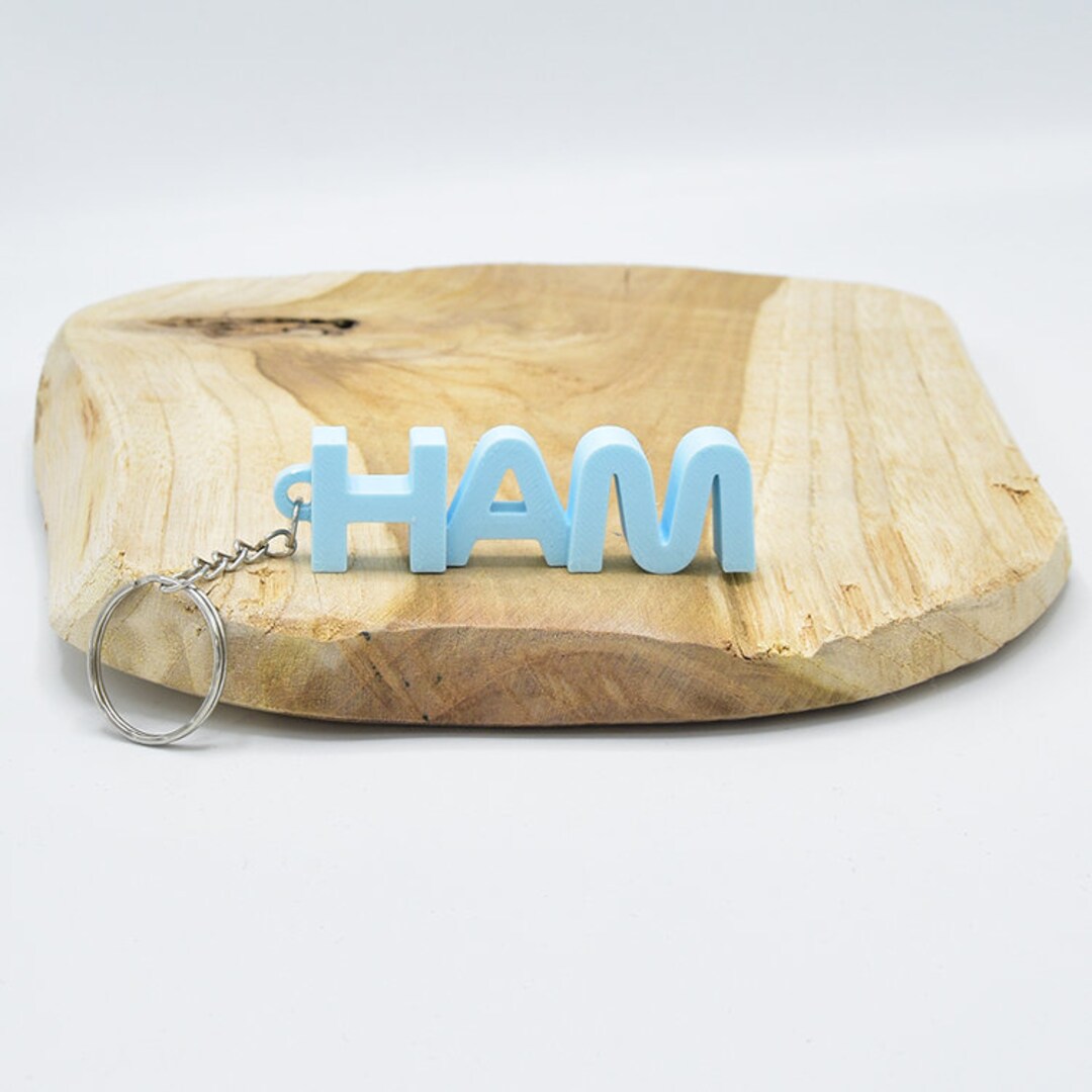 Lewis Hamilton F1 Driver Keychain Formula One Keychains - Etsy