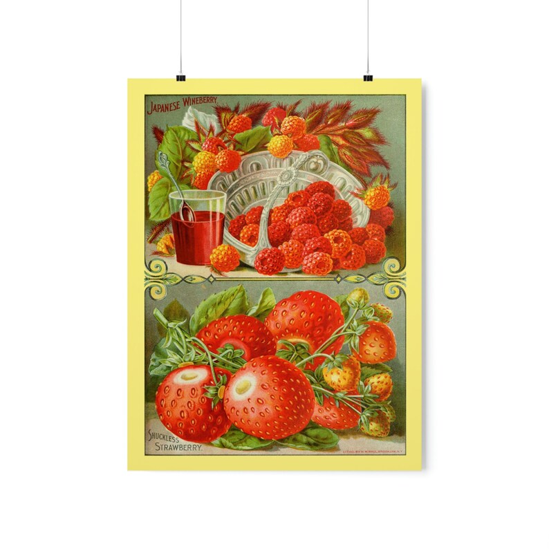 Red Beautiful Berries Poster Nature Art, Vintage Illustration, Food Art ...