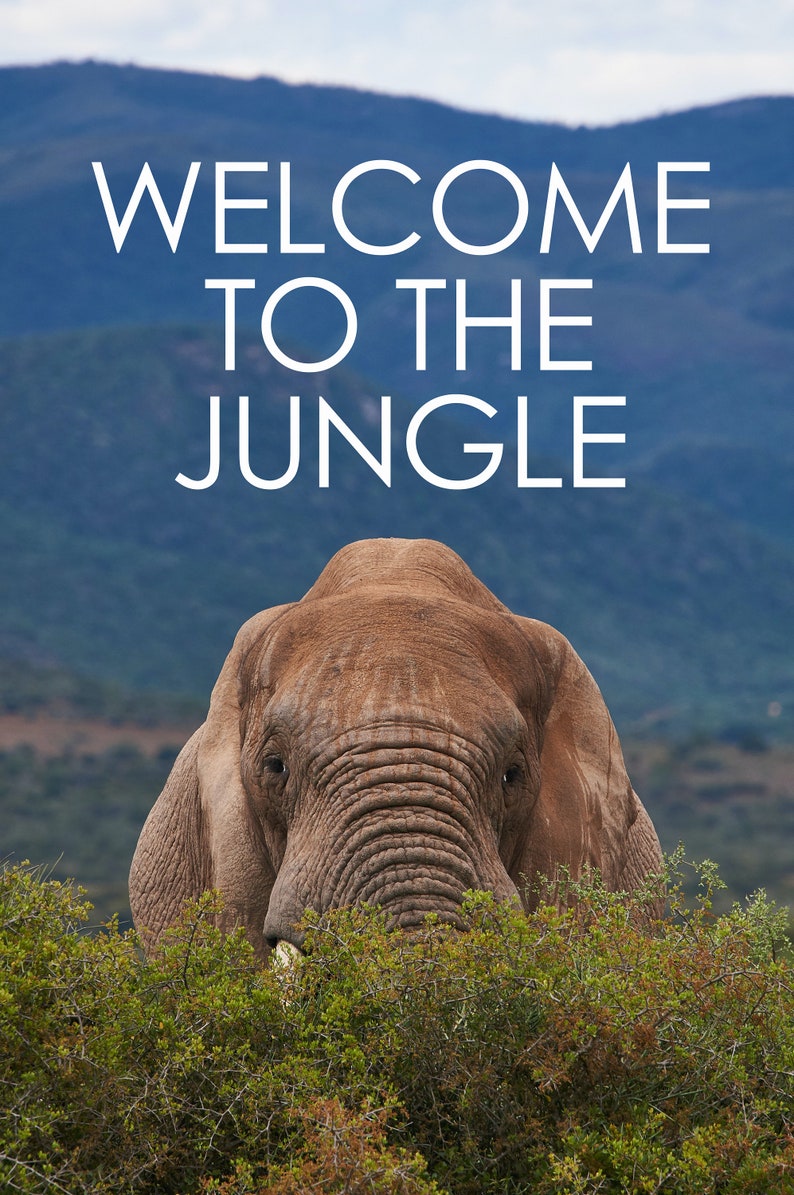 Welcome to the Jungle Elephant Poster Animal Lover Wall Art - Etsy