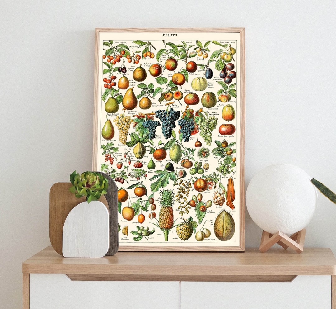 Vintage French Fruit Chart Poster | Botanical Print, Cottagecore Home ...