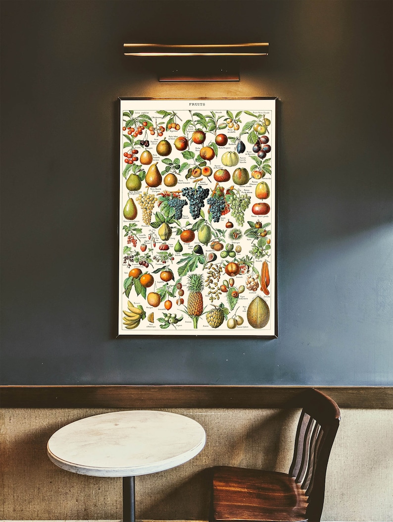 Vintage French Fruit Chart Poster | Botanical Print, Cottagecore Home ...